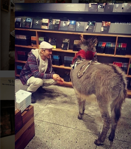 Noh Hong Chul donkey, “Remember the Bremen music band?”