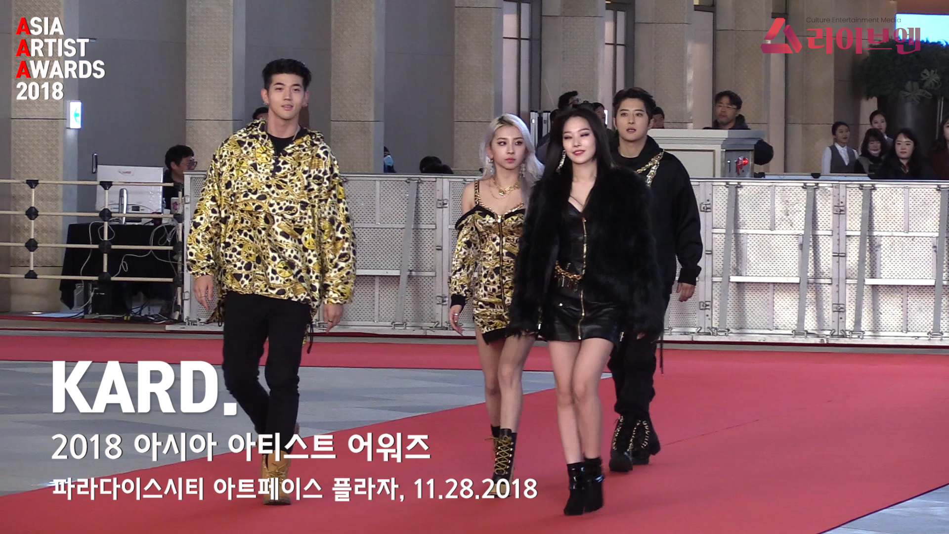 [liveen TV] 카드 (KARD), 점점 더 잘 생기고 예뻐져요 (AAA2018)